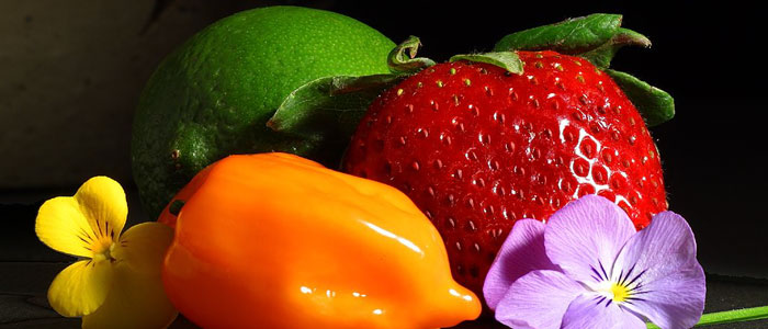 Eve Pitovic - Artiste Peintre Conférencière